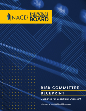 Strategy and Risk Governance | NACD